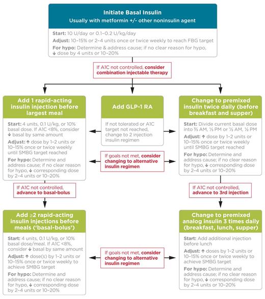 Insulin Initiation and Titration in Patients With Type 2 Diabetes ...