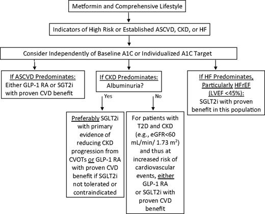Antihyperglycemic Algorithms for Type 2 Diabetes: Focus on Nonglycemic ...