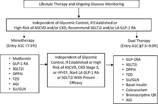 Antihyperglycemic Algorithms for Type 2 Diabetes: Focus on Nonglycemic ...