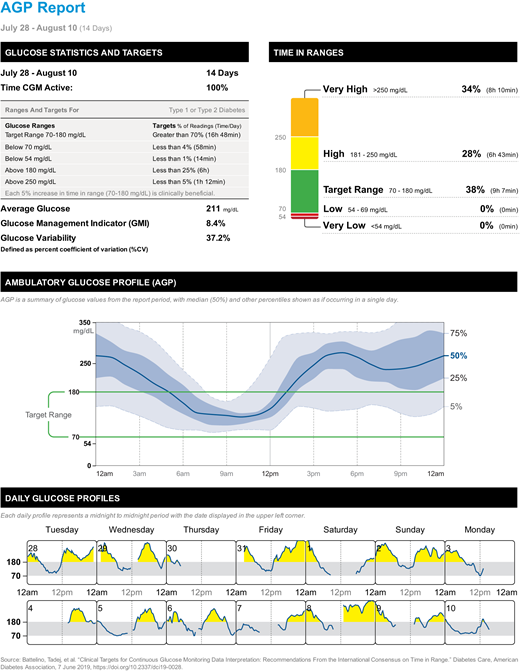 Roadmap to the Effective Use of Continuous Glucose Monitoring in ...