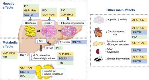 Pharmacological Approaches to Nonalcoholic Fatty Liver Disease: Current ...
