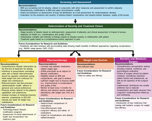 A Guideline-Directed Approach to Obesity Treatment | Diabetes Spectrum ...
